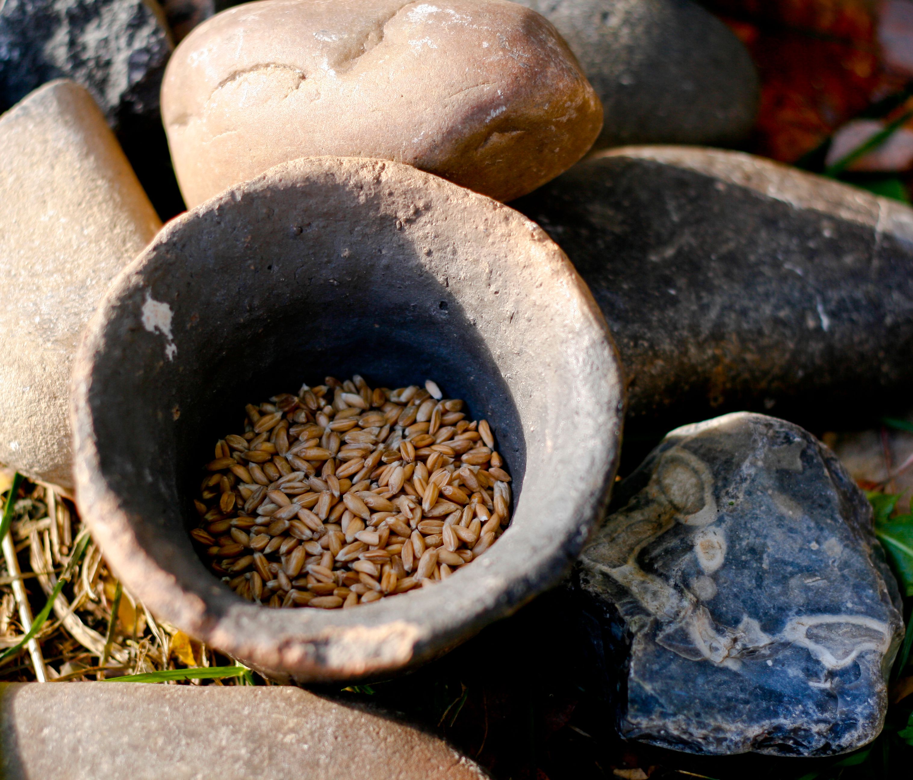 Un chicle de hace 6,000 años revela información valiosa sobre la vida cotidiana de los humanos ...